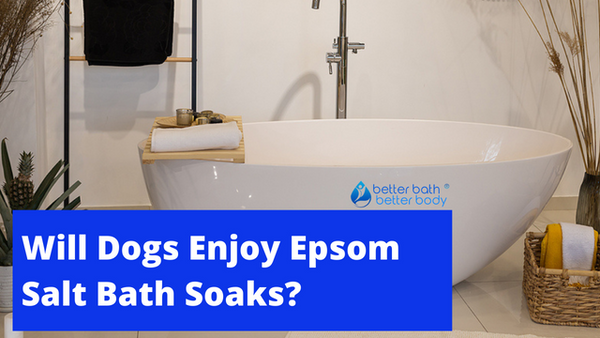 Will Dogs Enjoy Epsom Salt Bath Soaks? – Better Bath Better Body