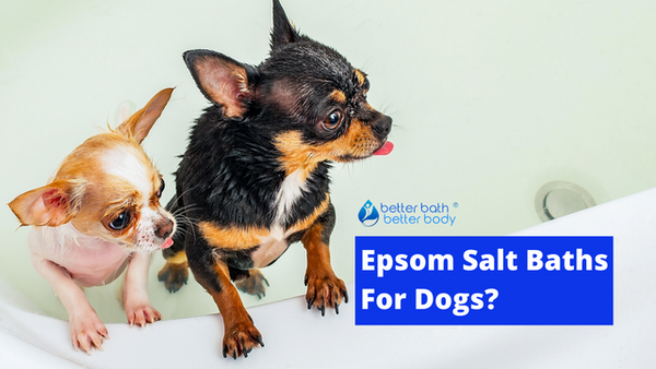 Epsom Salt Baths Are Great For Dogs, Too – Better Bath Better Body