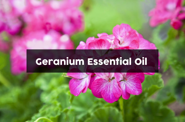 Tranquility Bath Salts - USP Grade Epsom Salt – Better Bath Better Body